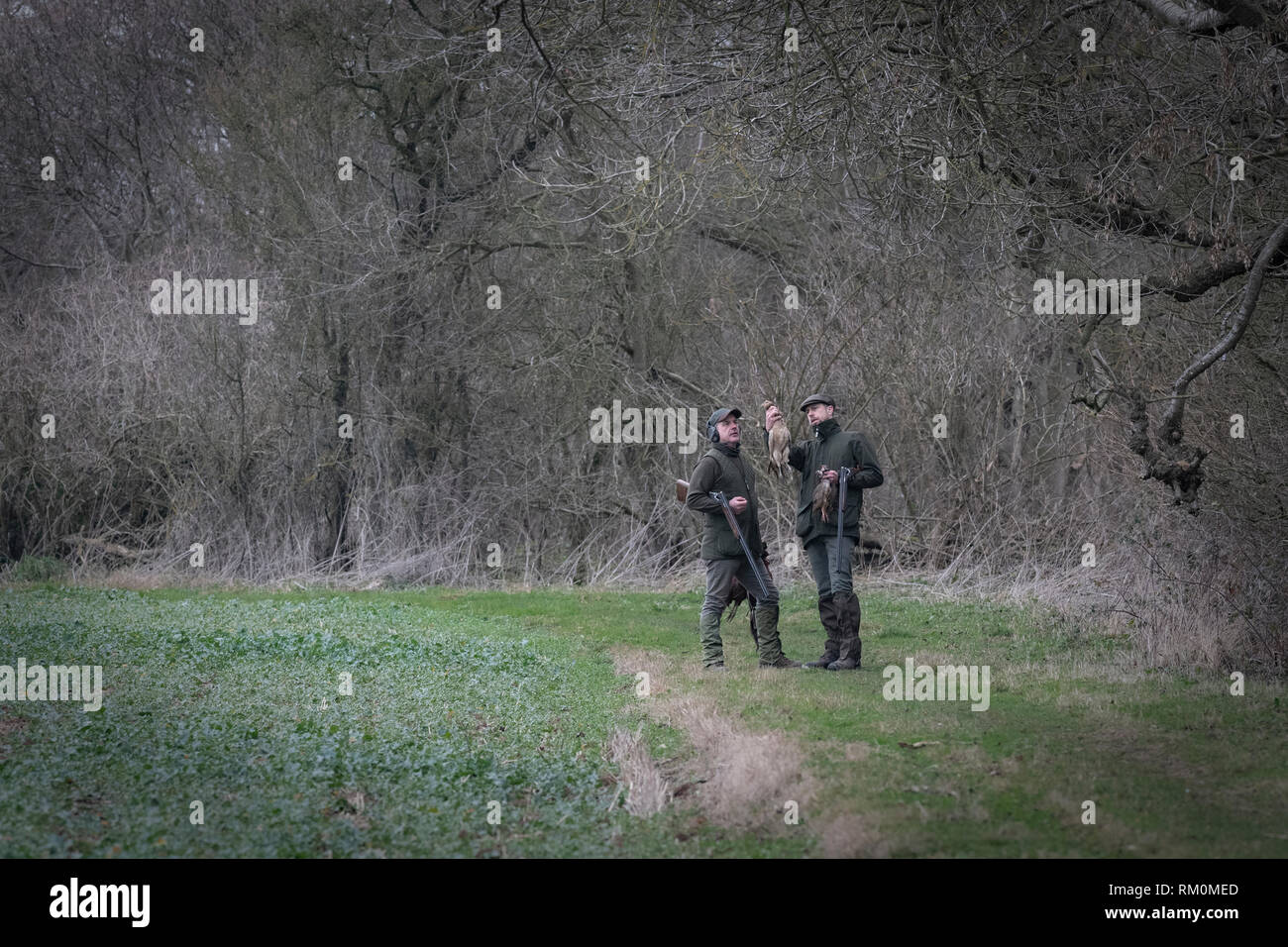 Traditional English game shooting in the autumn countryside with gun ...