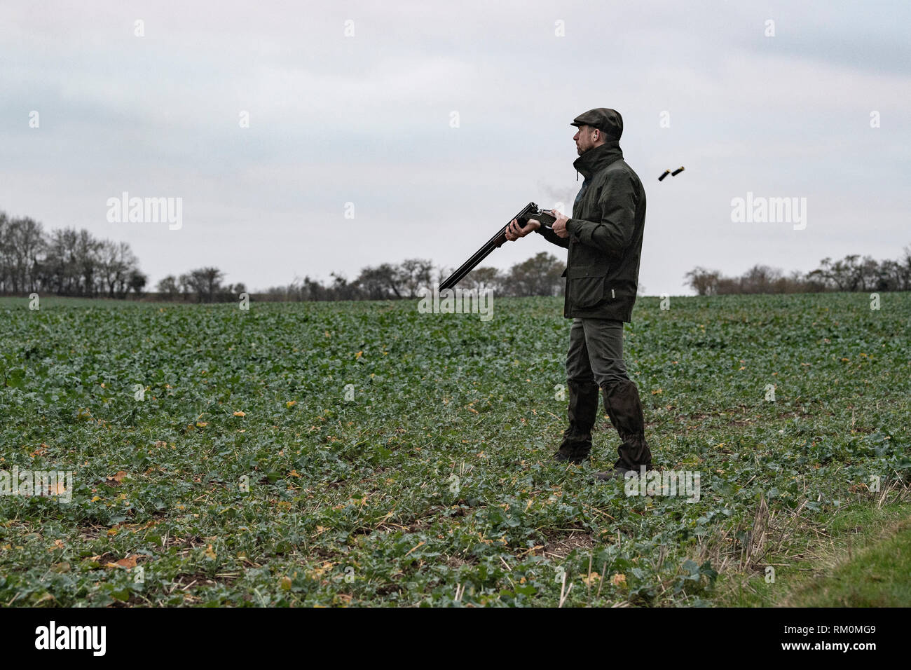 Traditional English game shooting in the autumn countryside with gun ...
