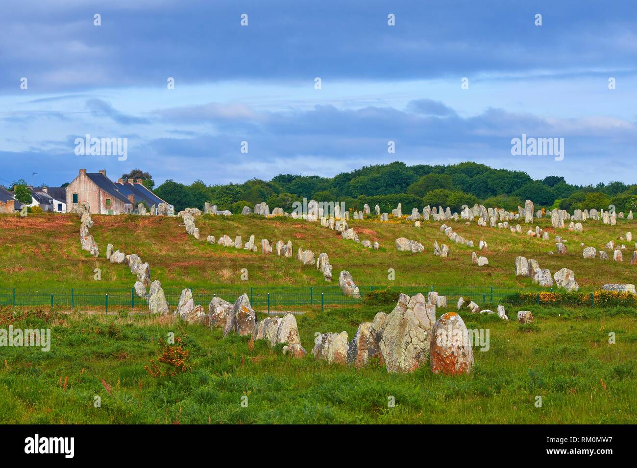Carnac, Megalithic stones, Megalitic alignments, Morbihan, Bretagne ...