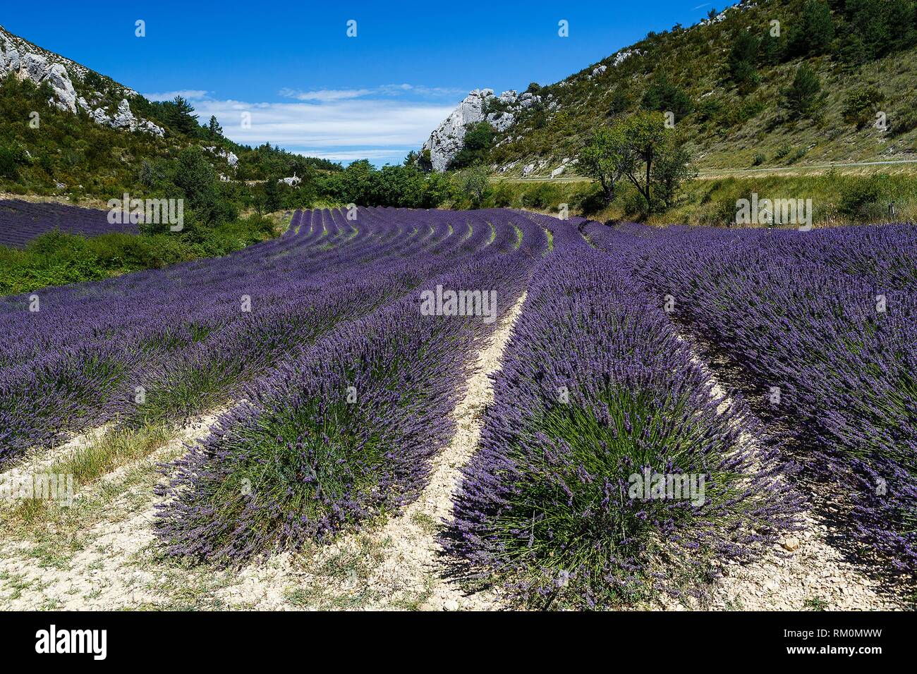 Green fields of france hi-res stock photography and images - Alamy