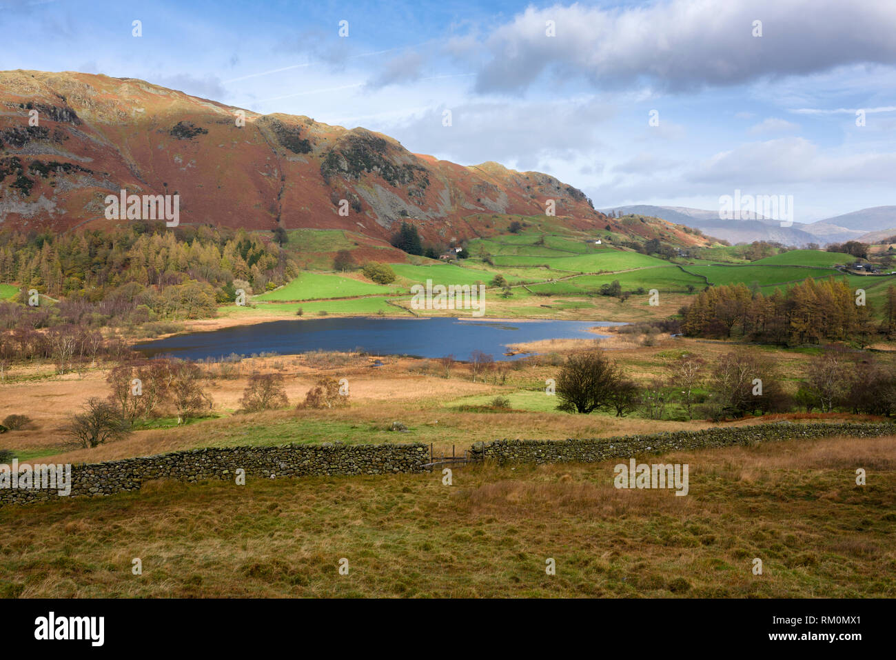 Lingmoor fell autumn hi-res stock photography and images - Alamy