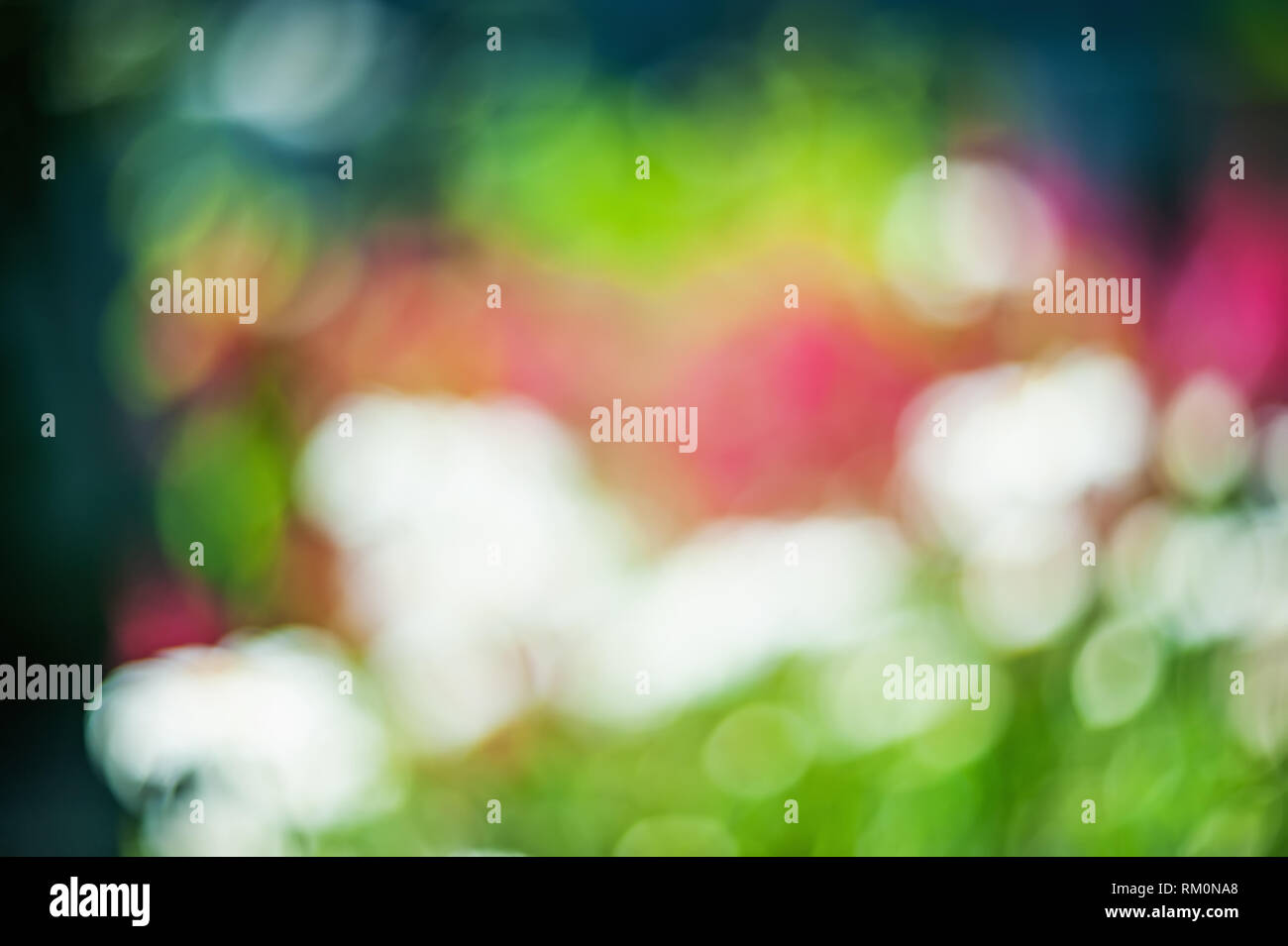 Abstract bokeh and blurred colorful nature background model used to ...