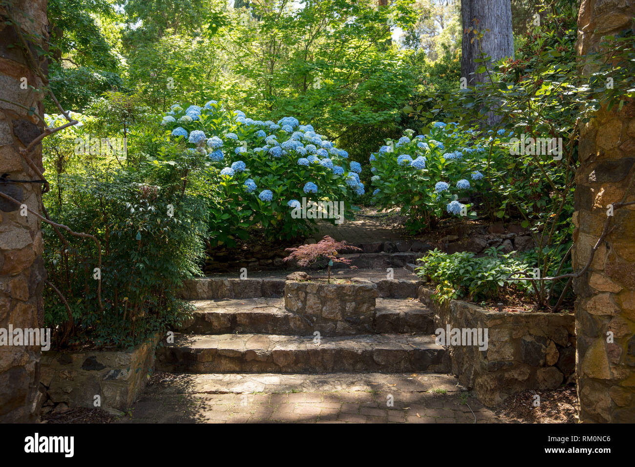 Roleystone hi-res stock photography and images - Alamy