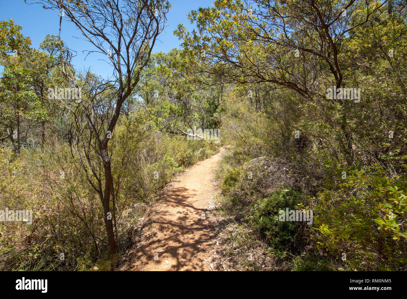 Australian bushland hi-res stock photography and images - Alamy