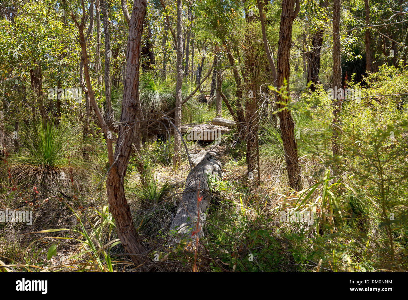 Darling Ranges High Resolution Stock Photography and Images - Alamy