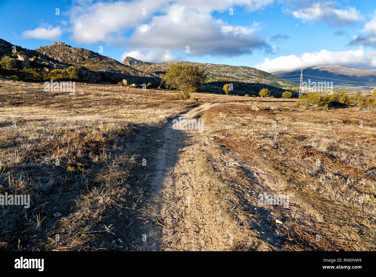 Cabreras hi-res stock photography and images - Alamy