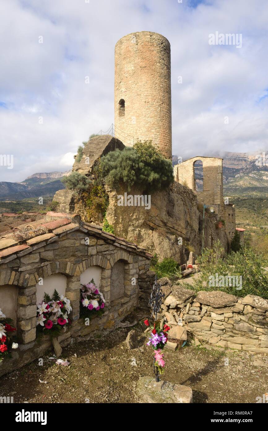 Baronia hi-res stock photography and images - Alamy