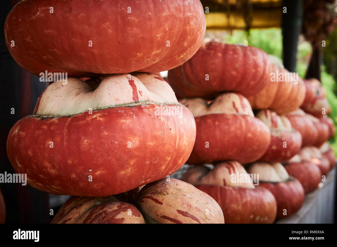 Turban squash hi-res stock photography and images - Alamy