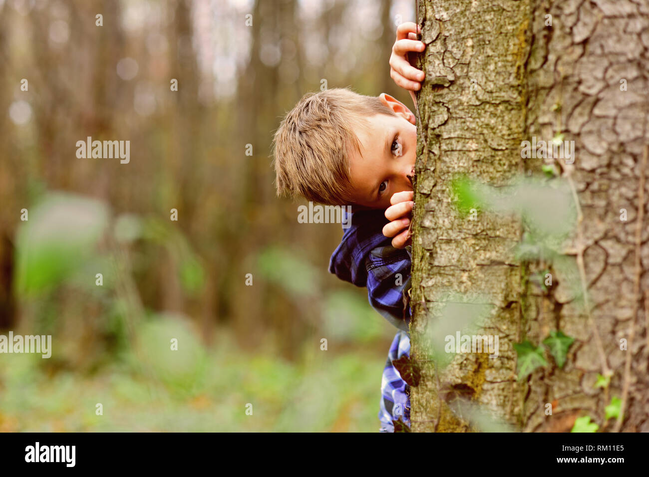 Spying is exciting. Small spy. Small child hide behind tree in forest ...