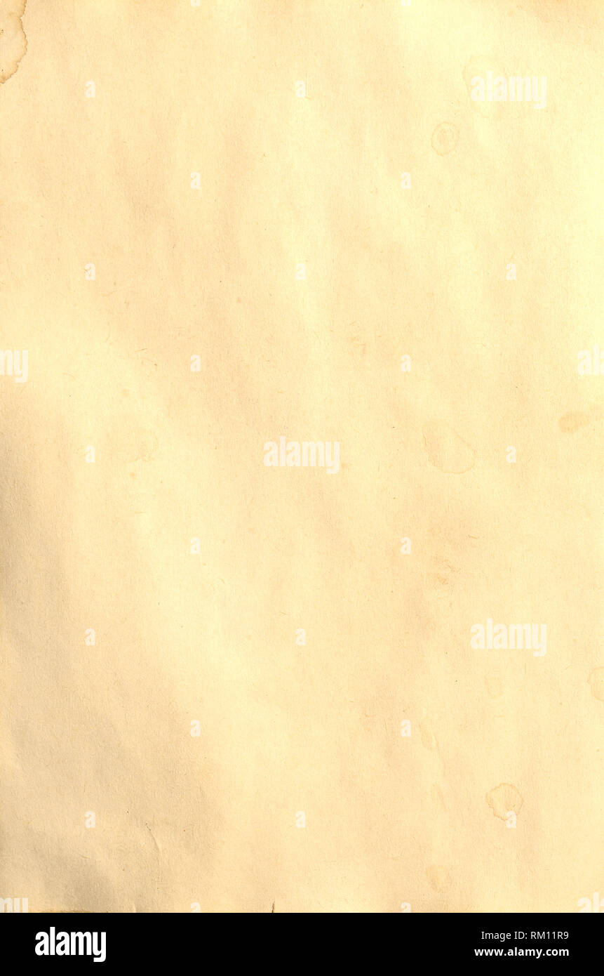 Old blank piece of antique vintage crumbling paper manuscript or ...