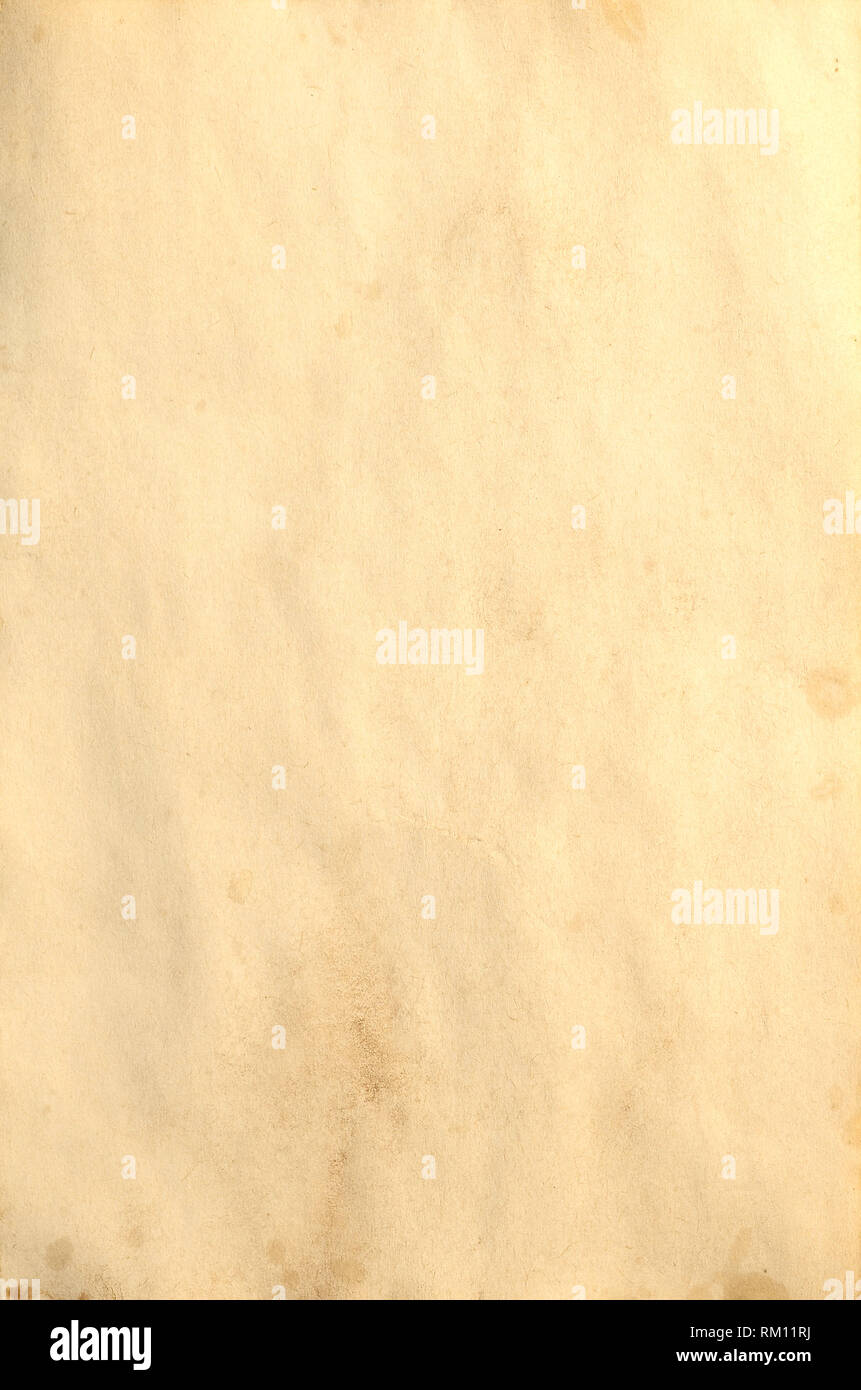 Old blank piece of antique vintage crumbling paper manuscript or ...