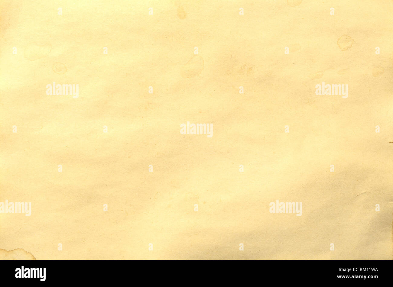 Old blank piece of antique vintage crumbling paper manuscript or ...