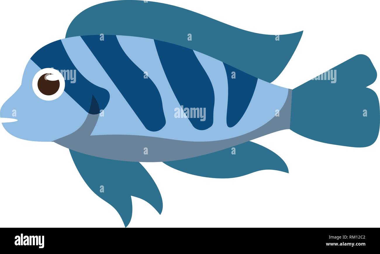 Fish sea animal cartoon Stock Vector Image & Art - Alamy