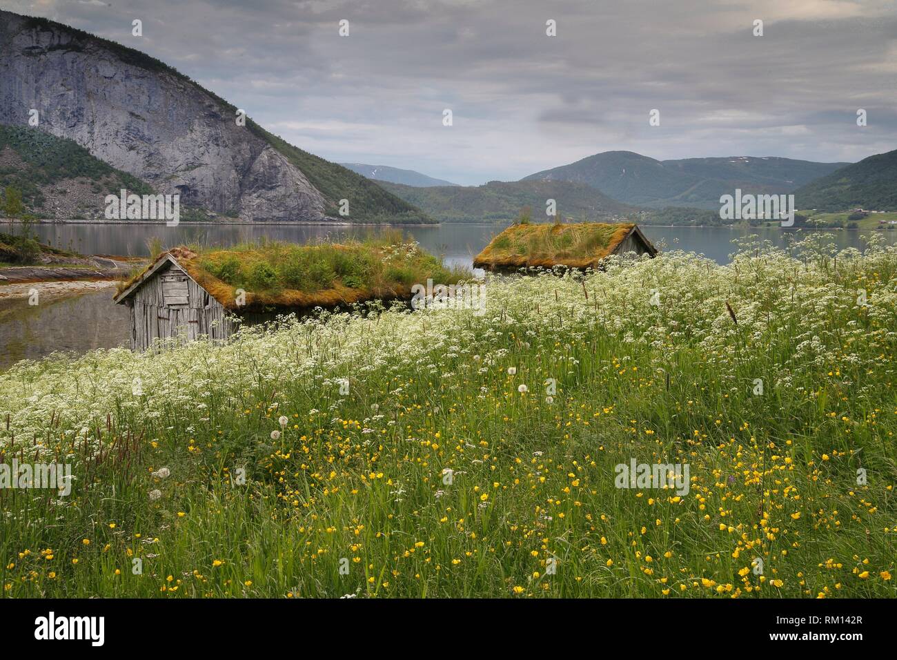 Norway cottage hi-res stock photography and images - Alamy