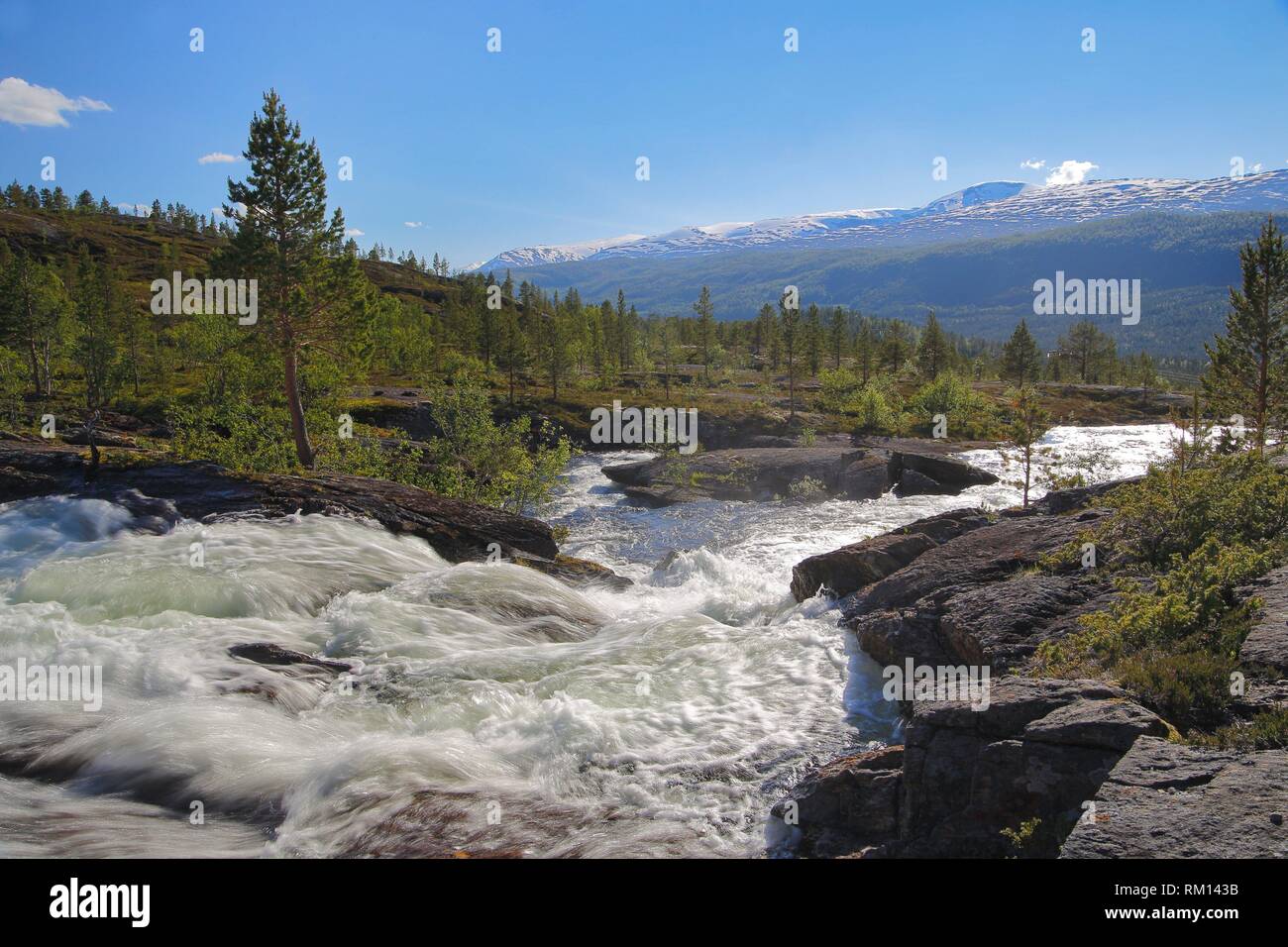 Beiarn hi-res stock photography and images - Alamy