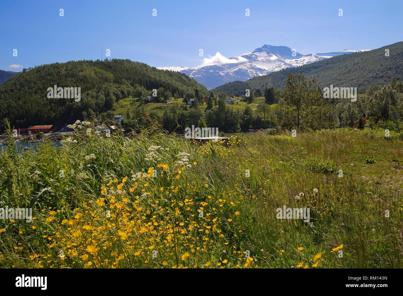 Beiarn hi-res stock photography and images - Alamy