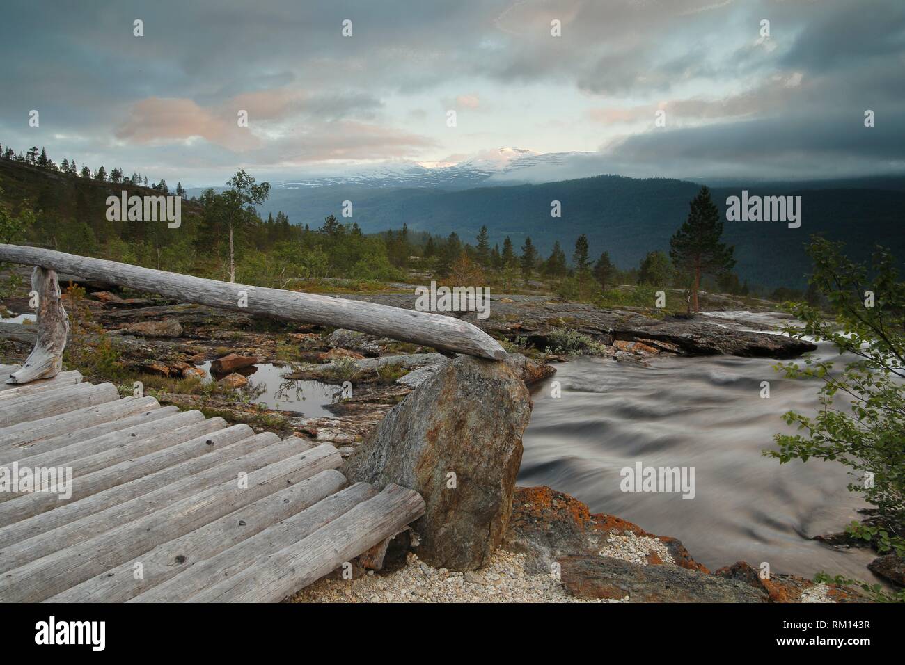 Beiarn hi-res stock photography and images - Alamy