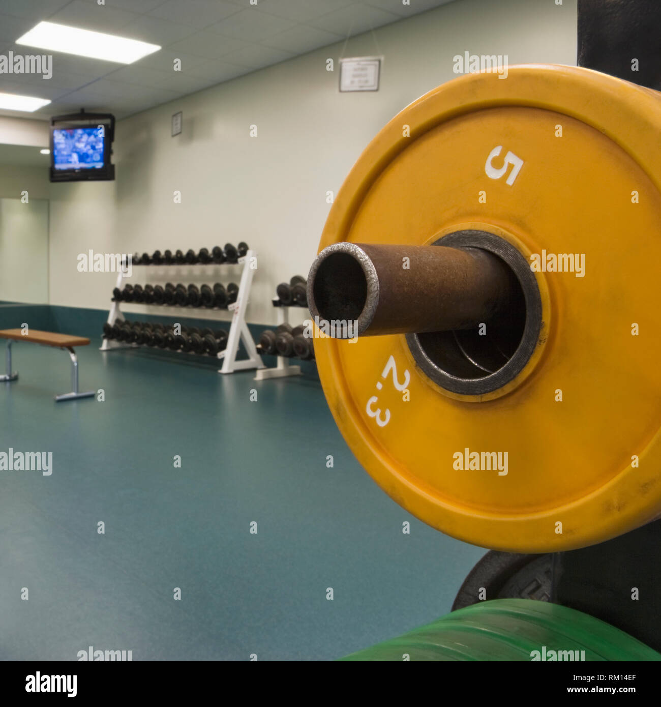 Weights in a Weight Room Stock Photo - Alamy