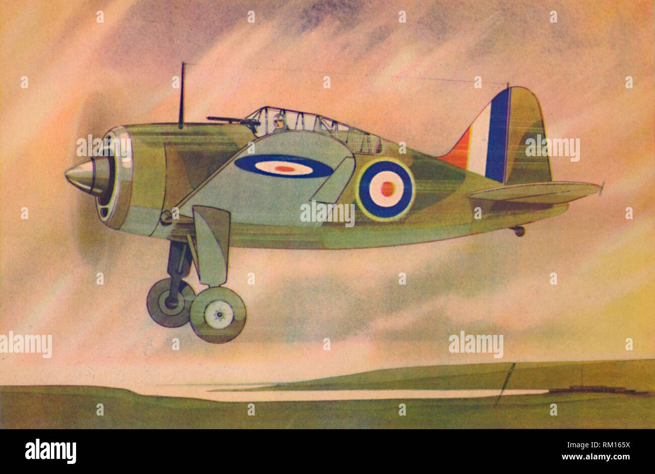 Brewster f2a buffalo hi-res stock photography and images - Alamy
