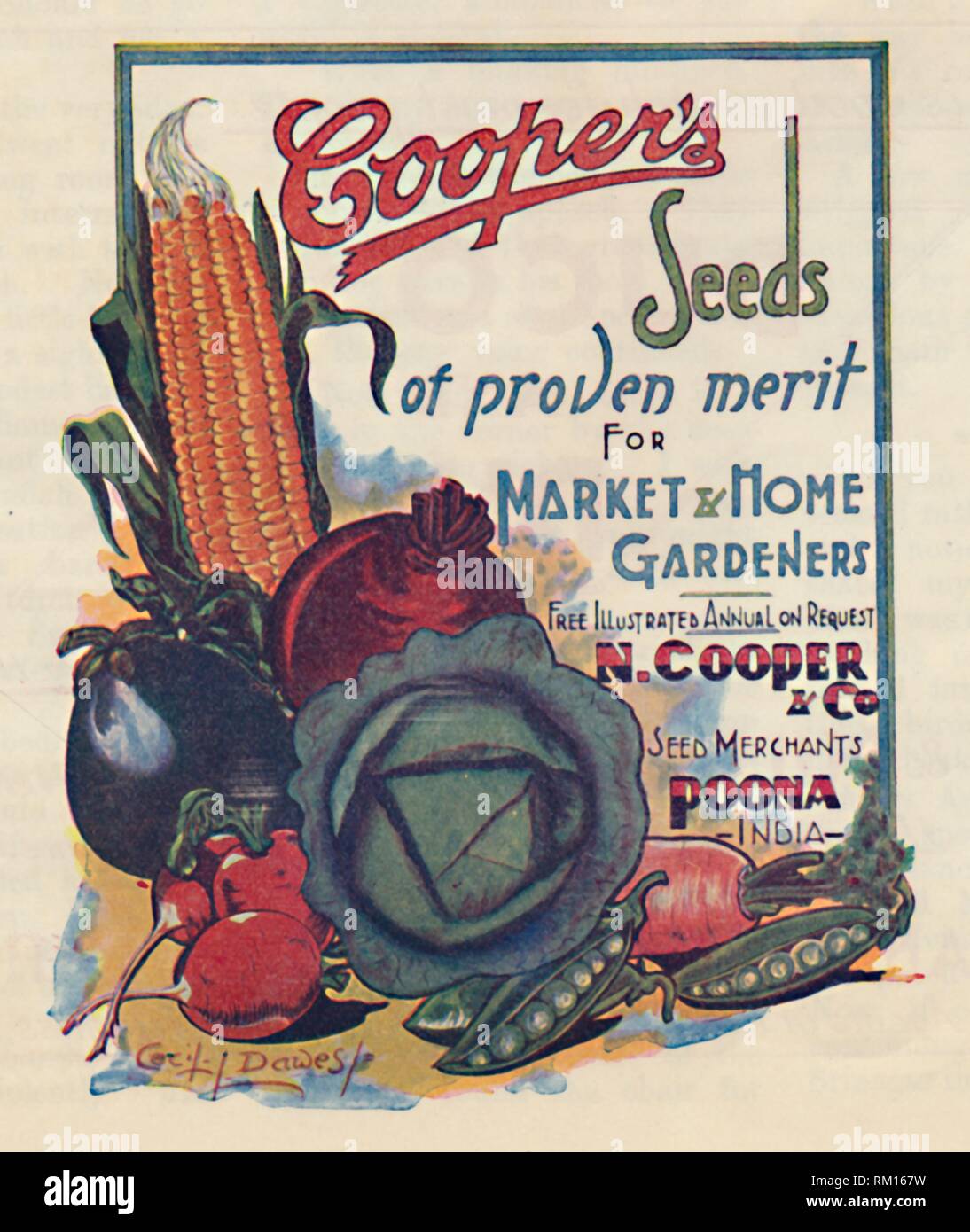 Advertisement for Cooper's seeds, 1936. Creator: Cecil Dawes Stock ...