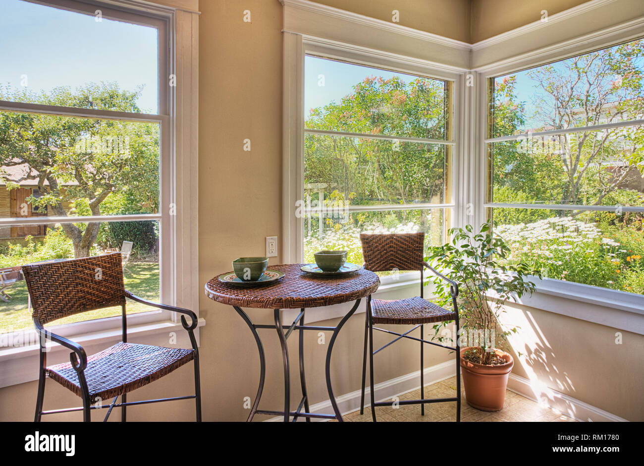 Sunroom tree hi-res stock photography and images - Alamy
