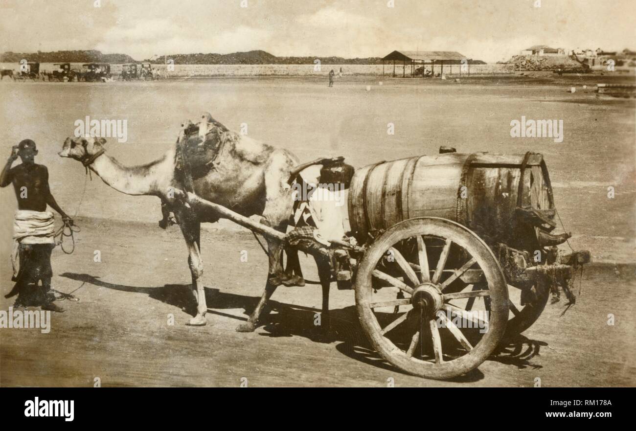 Water cart hi-res stock photography and images - Alamy