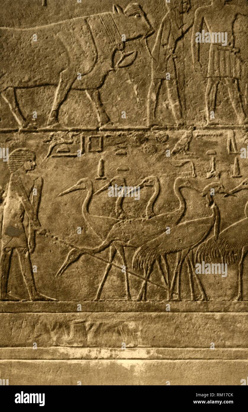 Tomb of ti hi-res stock photography and images - Alamy