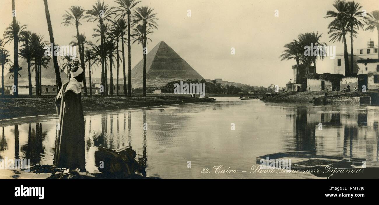 Nile egypt flood trees hi-res stock photography and images - Alamy