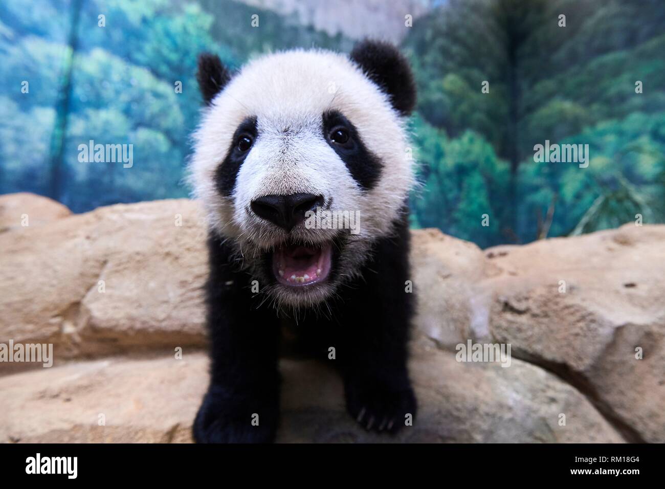 10 Months Old Baby High Resolution Stock Photography and Images - Alamy