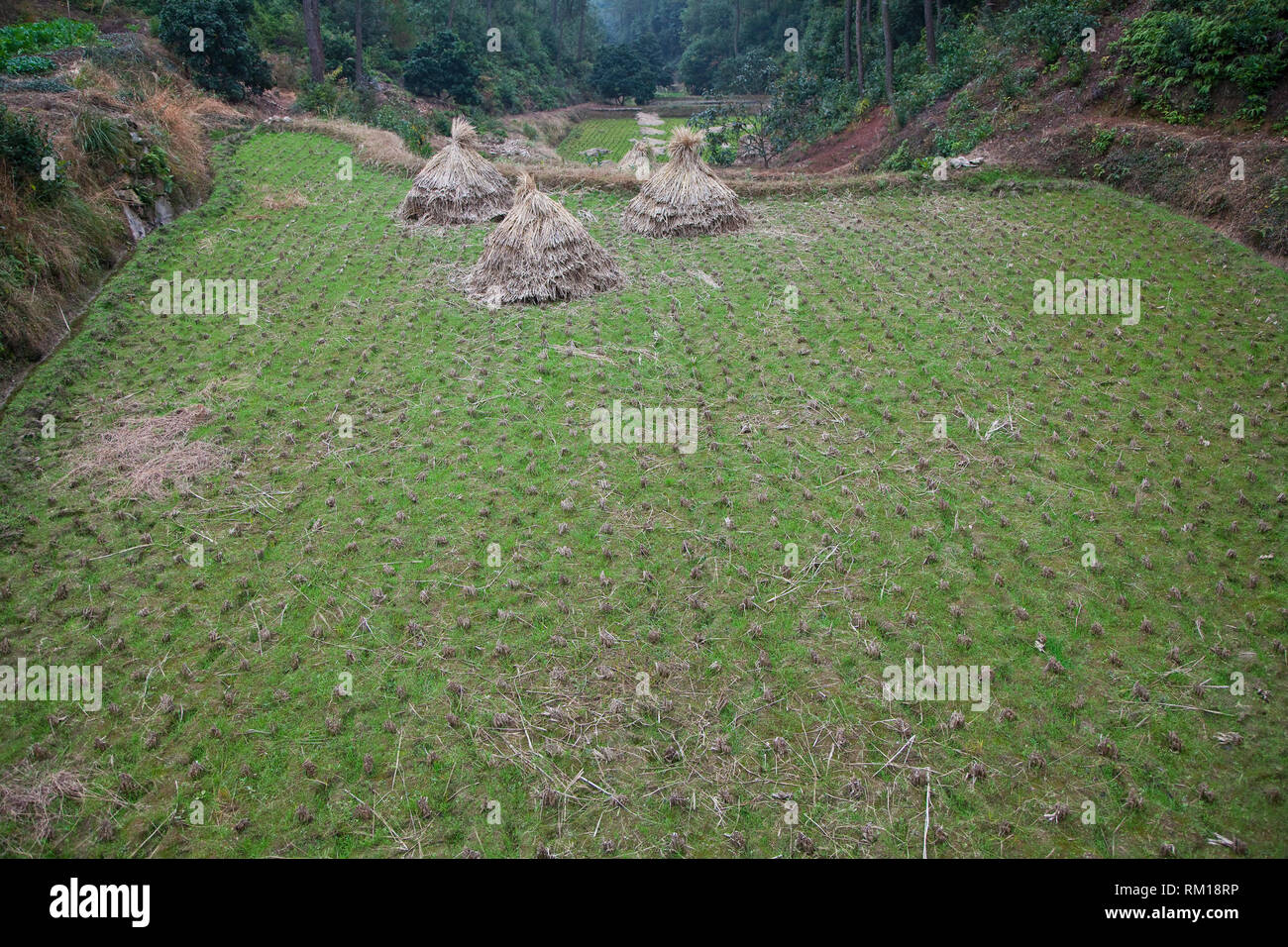 Piled high field hi-res stock photography and images - Alamy