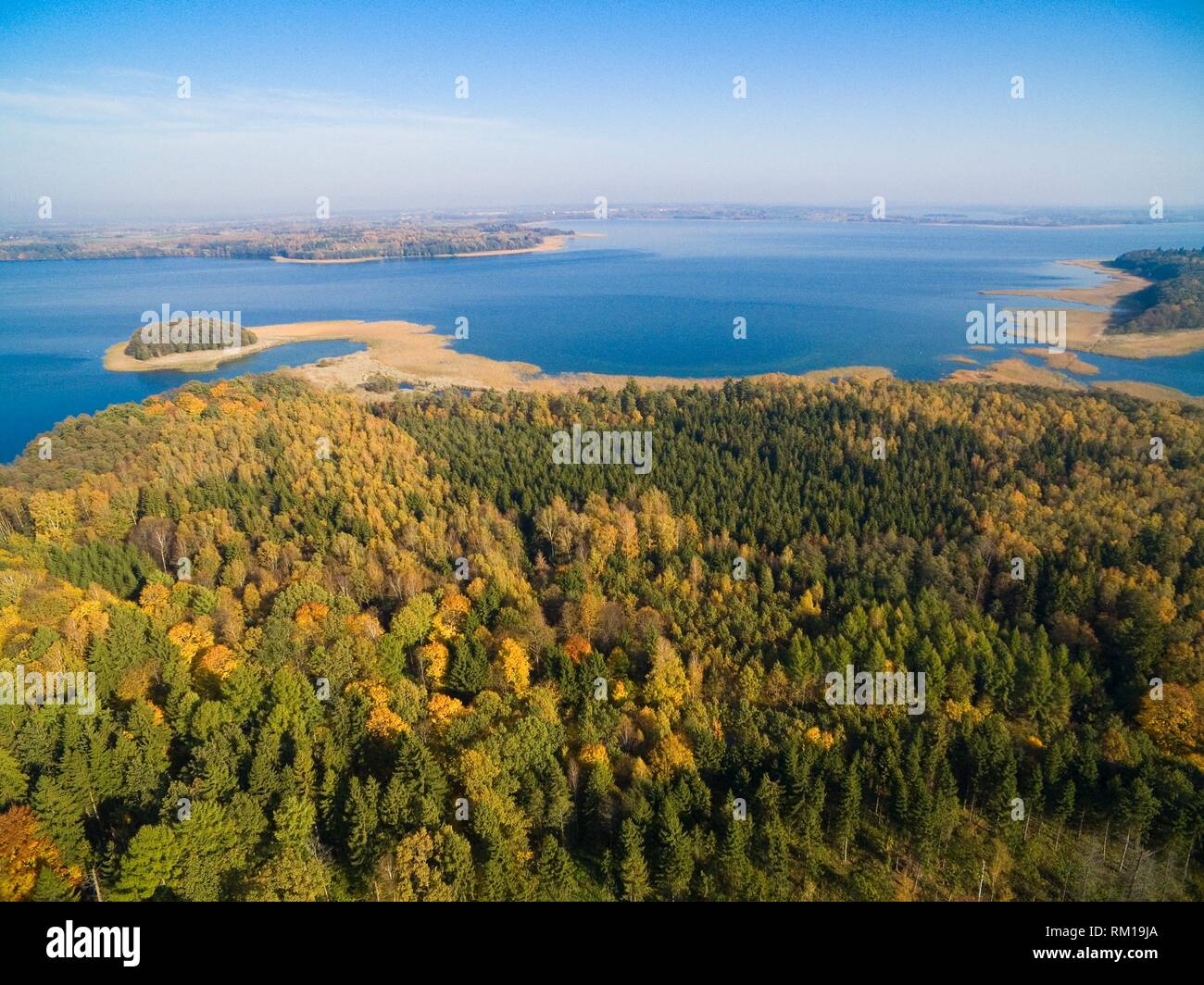 Birch tree at waterfront hi-res stock photography and images - Alamy