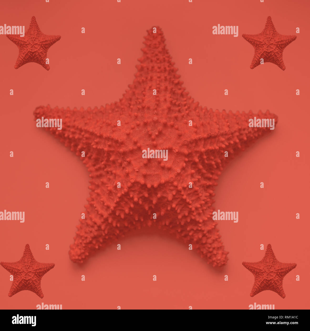 postcard starfish on a living coral background in the square Stock ...