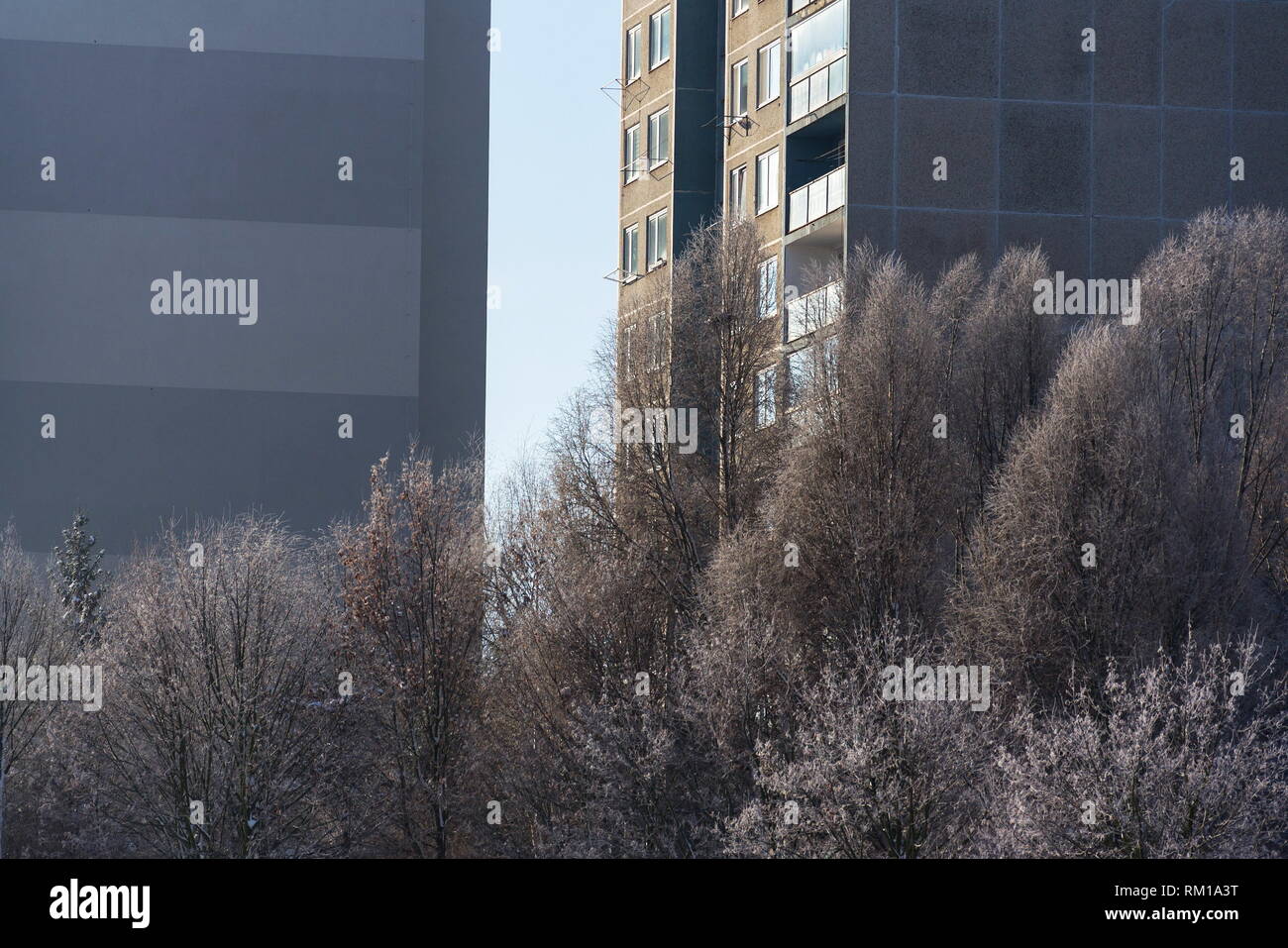 Insulated panel house apartments behind trees, high-rise block of flats ...