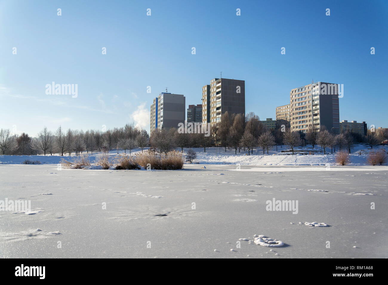 Insulated panel house apartments behind trees, high-rise block of flats ...