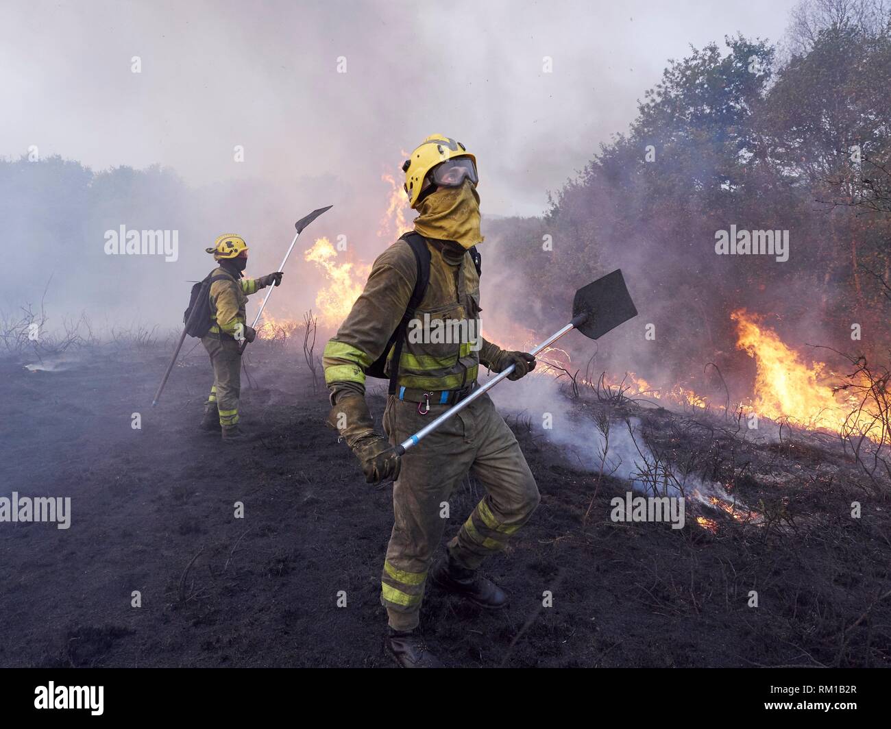 Forest Fire Aerial High Resolution Stock Photography and Images - Alamy