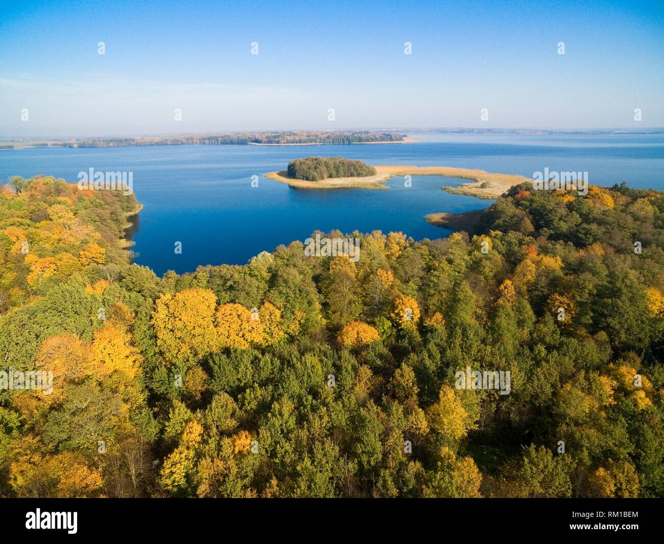 Birch tree at waterfront hi-res stock photography and images - Alamy