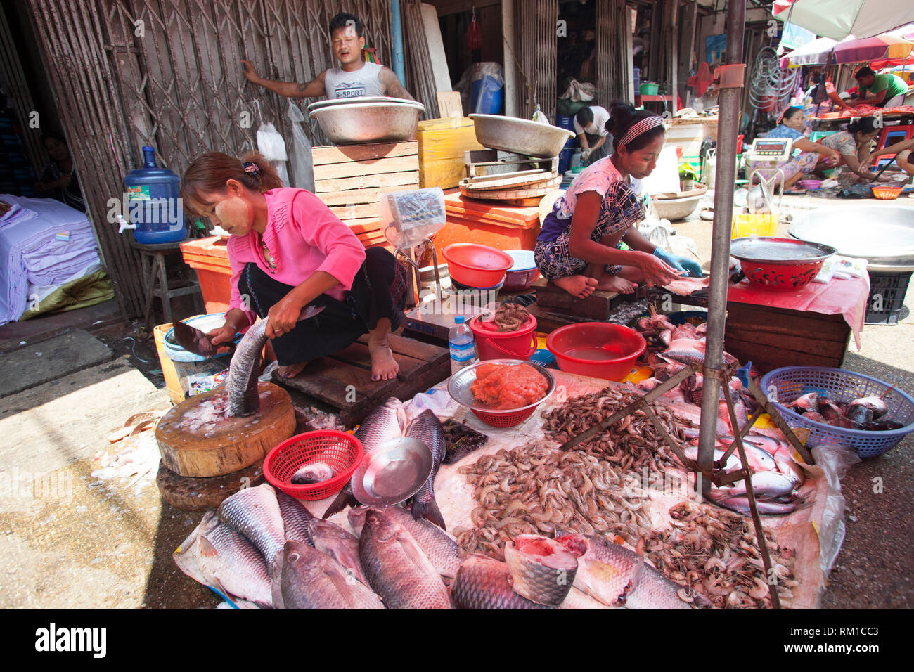 Fish market yangon myanmar hi-res stock photography and images - Alamy