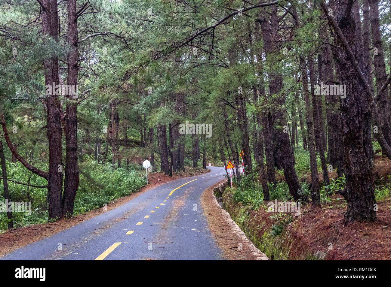 Vietnam lang biang hi-res stock photography and images - Alamy