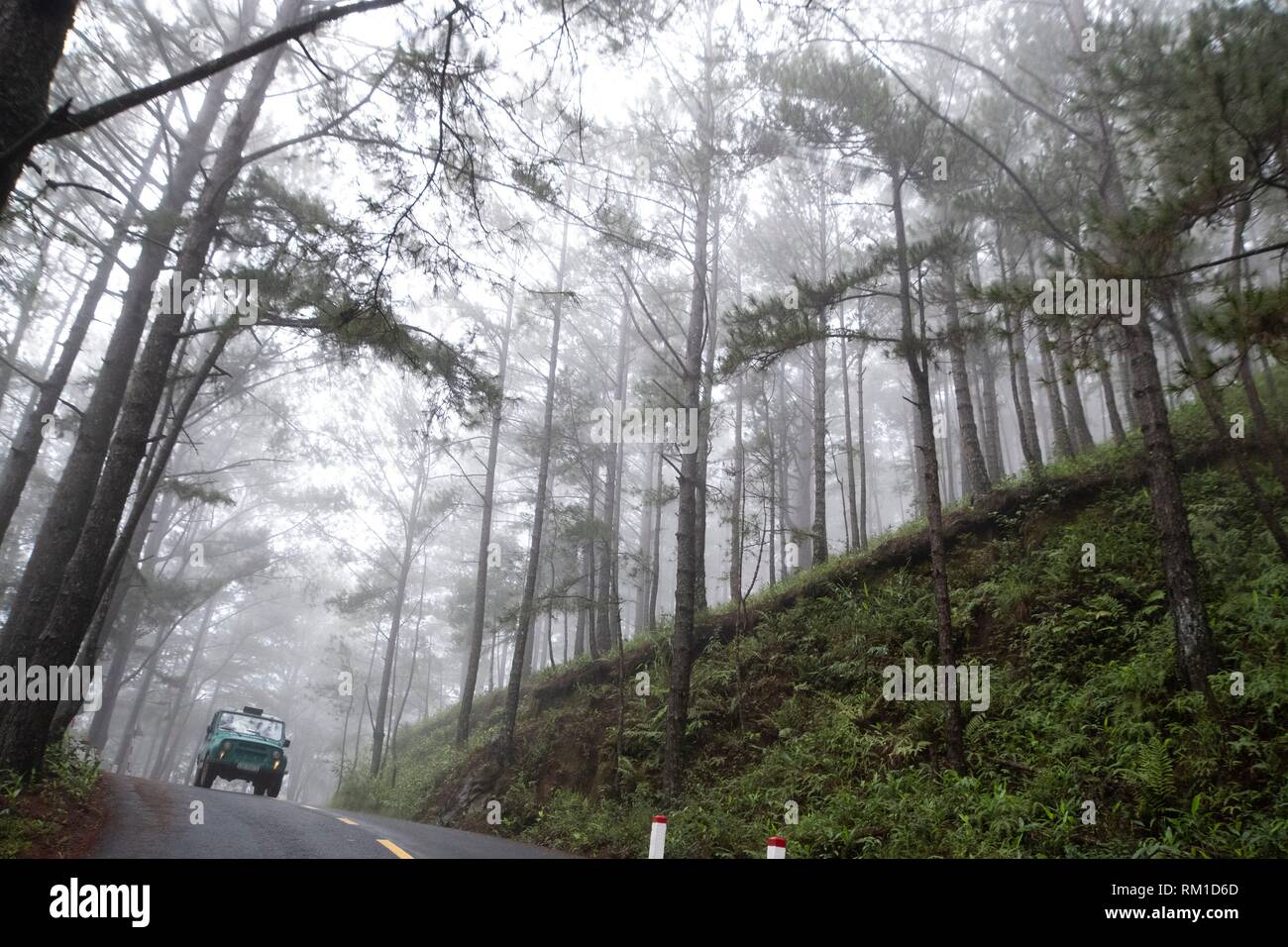 Biang biang hi-res stock photography and images - Alamy