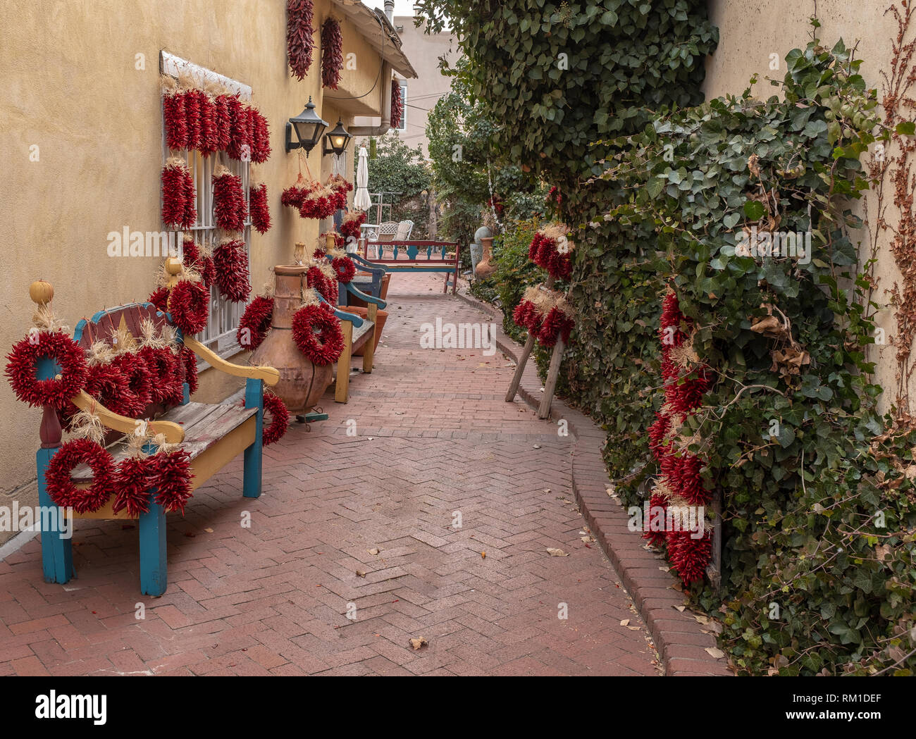Chile ristras hi-res stock photography and images - Alamy