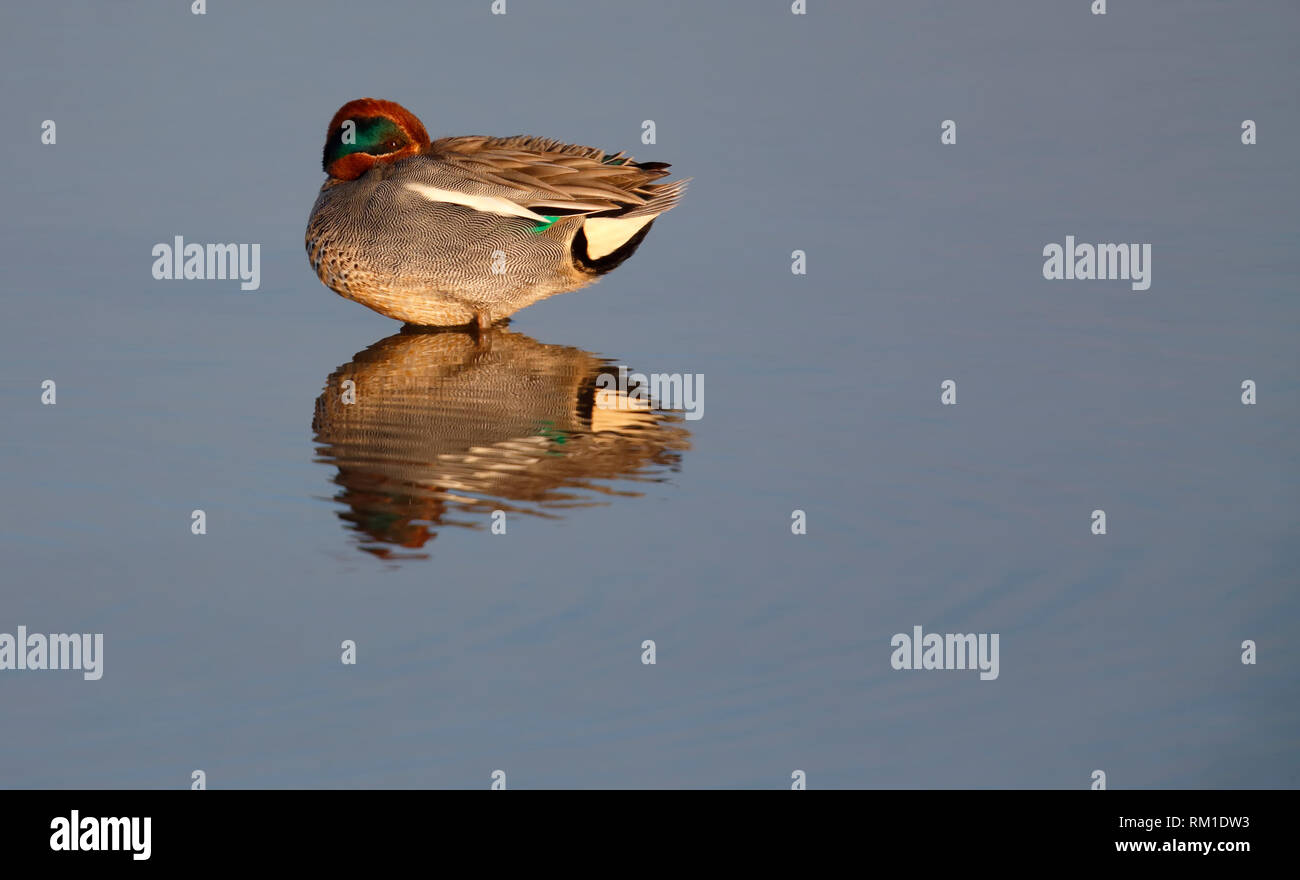 Teal colour water hi-res stock photography and images - Alamy