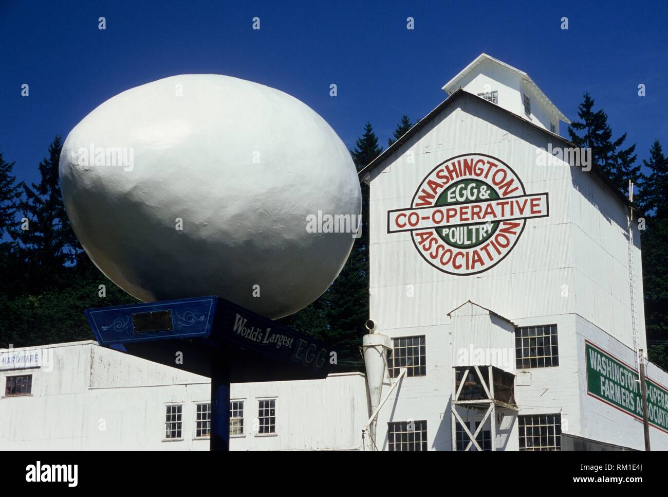 Winlock egg hi-res stock photography and images - Alamy