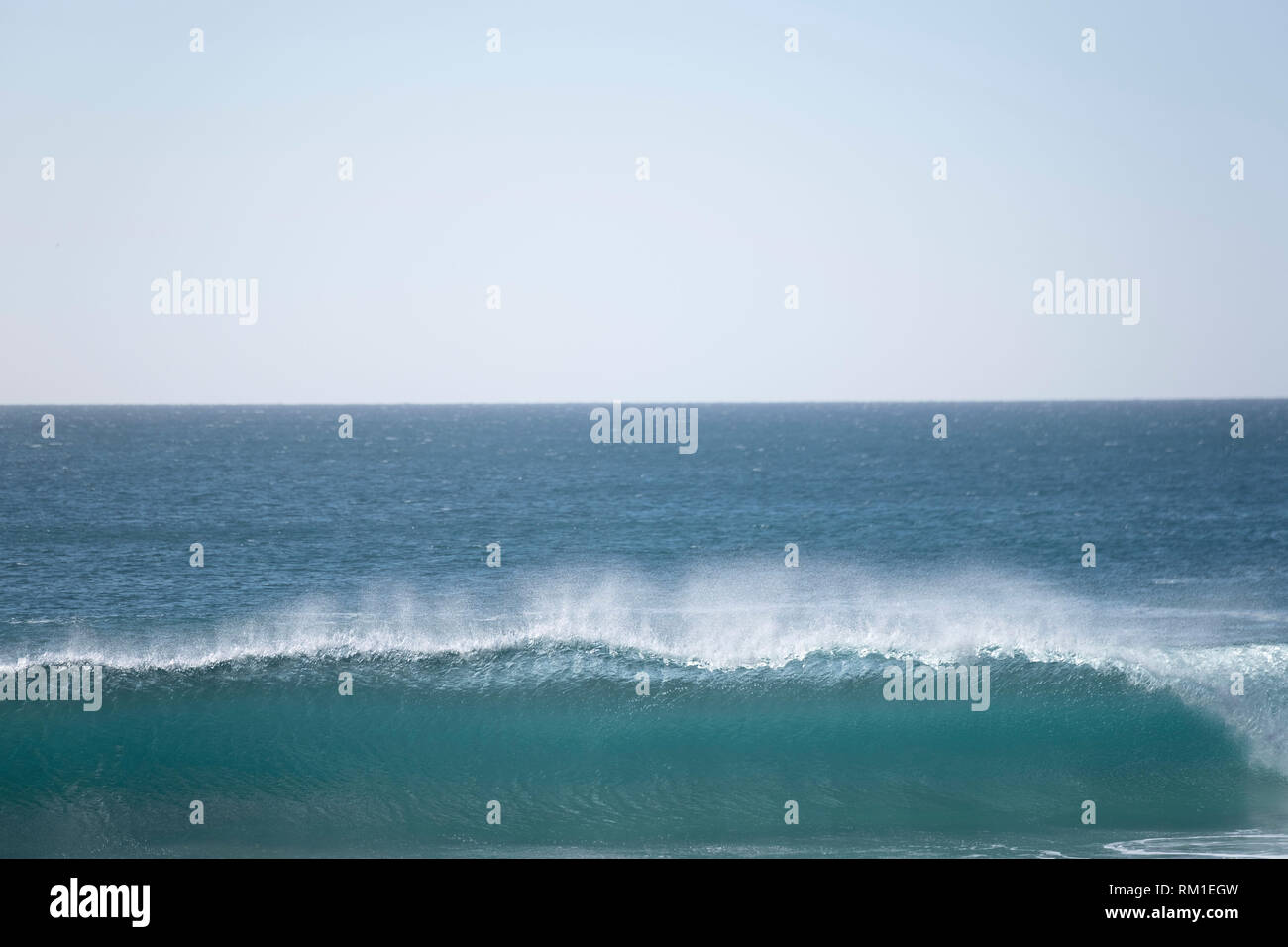 Mexican wave green hi-res stock photography and images - Alamy