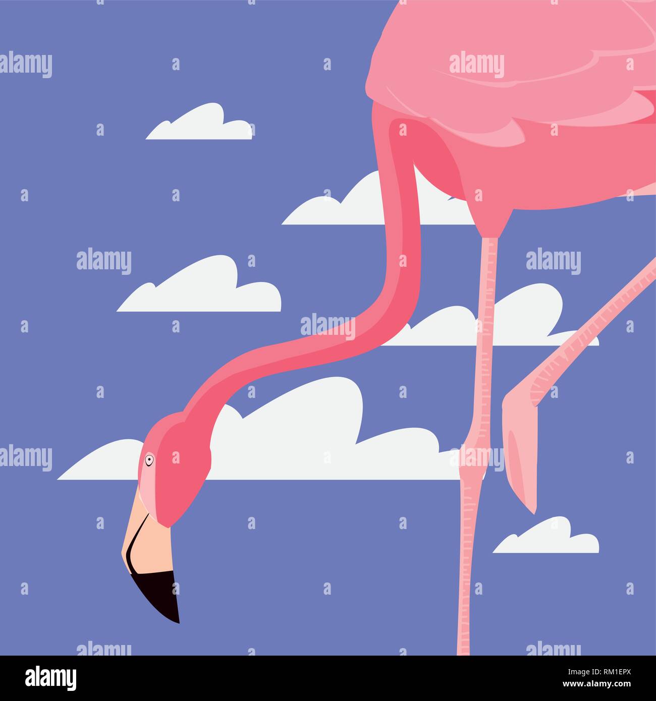 cute flamingo sky clouds background vector illustration Stock Vector ...