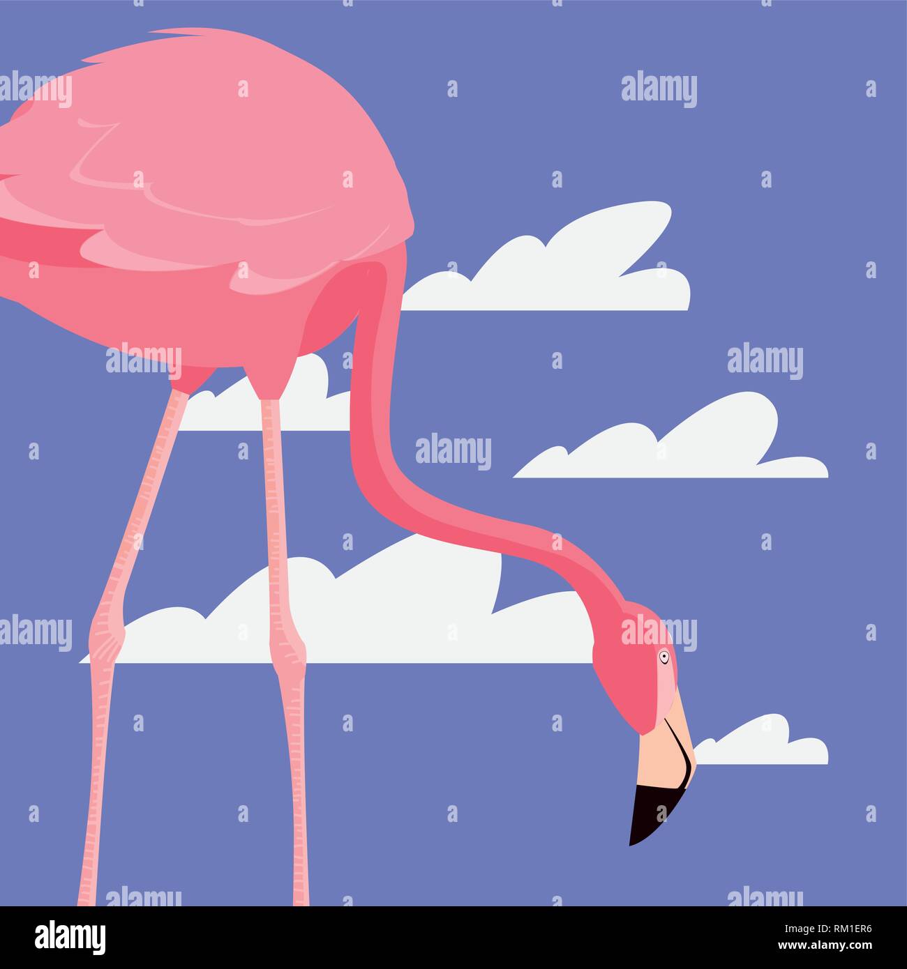 cute flamingo sky clouds background vector illustration Stock Vector ...