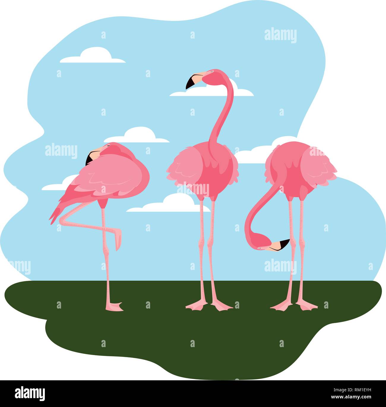 flamingos bird standing in the landscape vector illustration Stock ...
