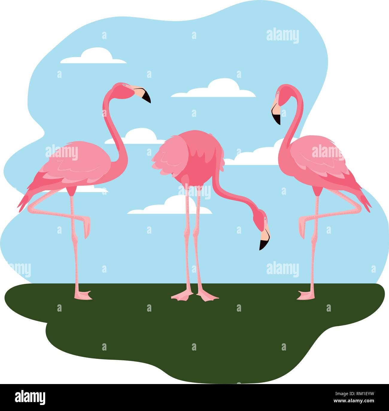flamingos bird standing in the landscape vector illustration Stock ...