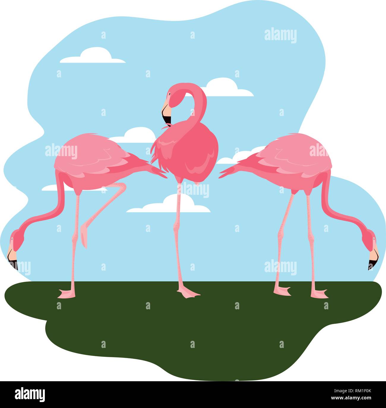 flamingos bird standing in the landscape vector illustration Stock ...