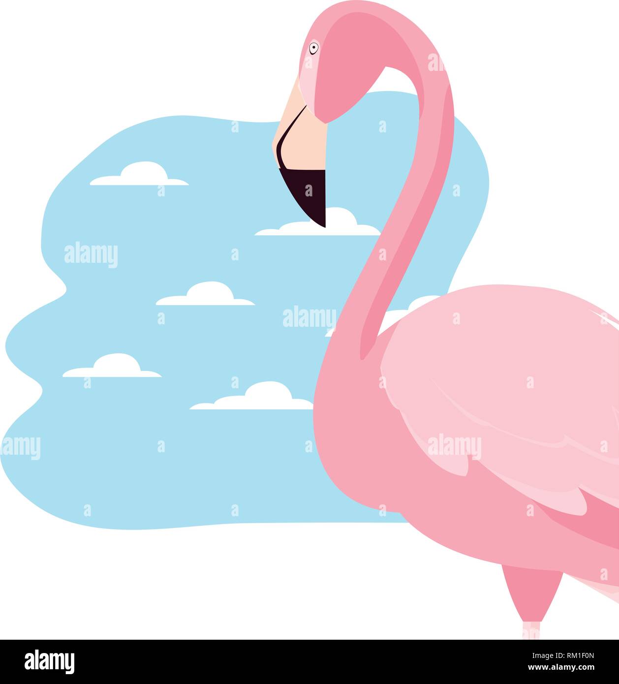 flamingo bird exotic blue background vector illustration Stock Vector ...