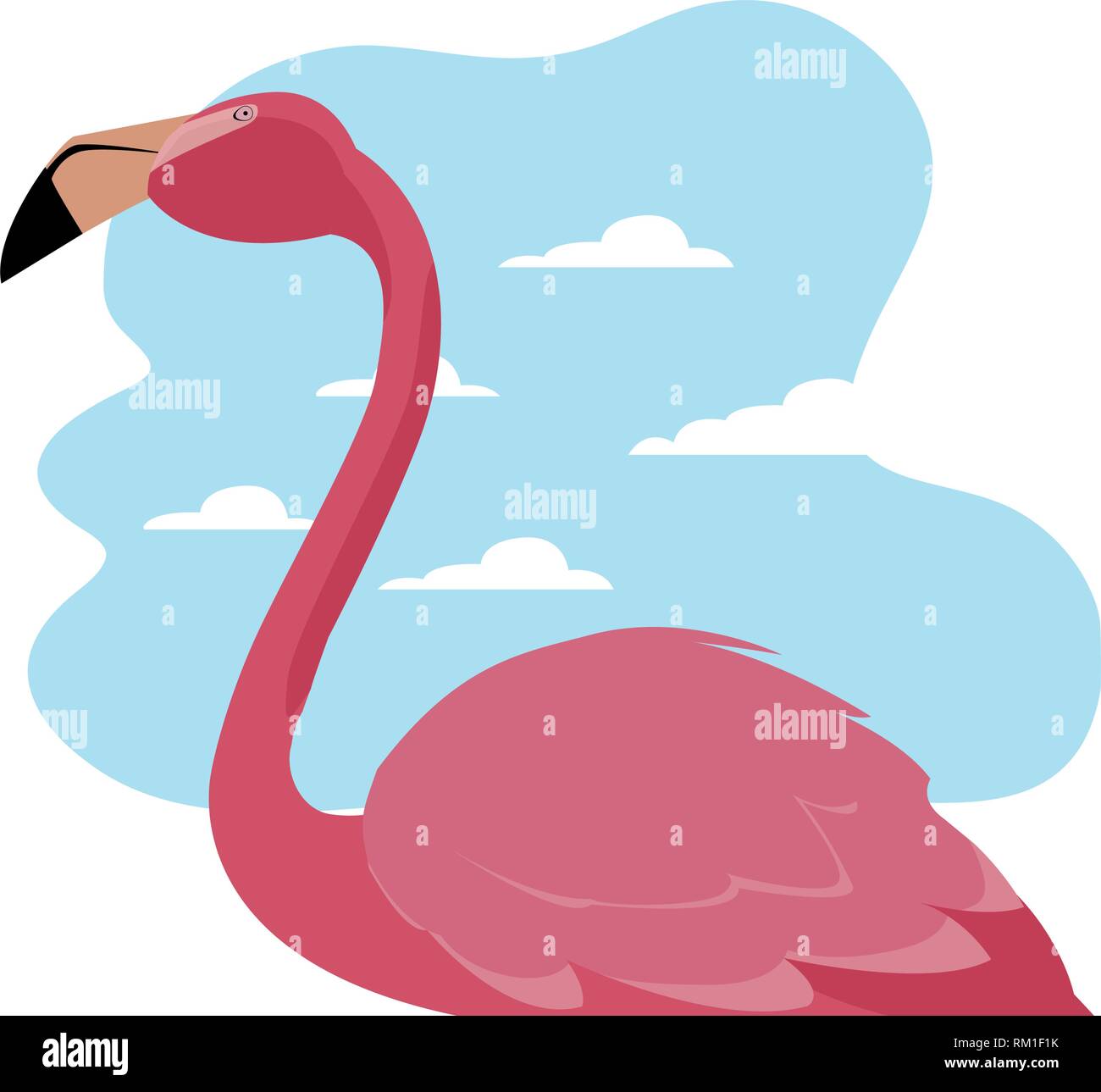 flamingo bird exotic blue background vector illustration Stock Vector ...